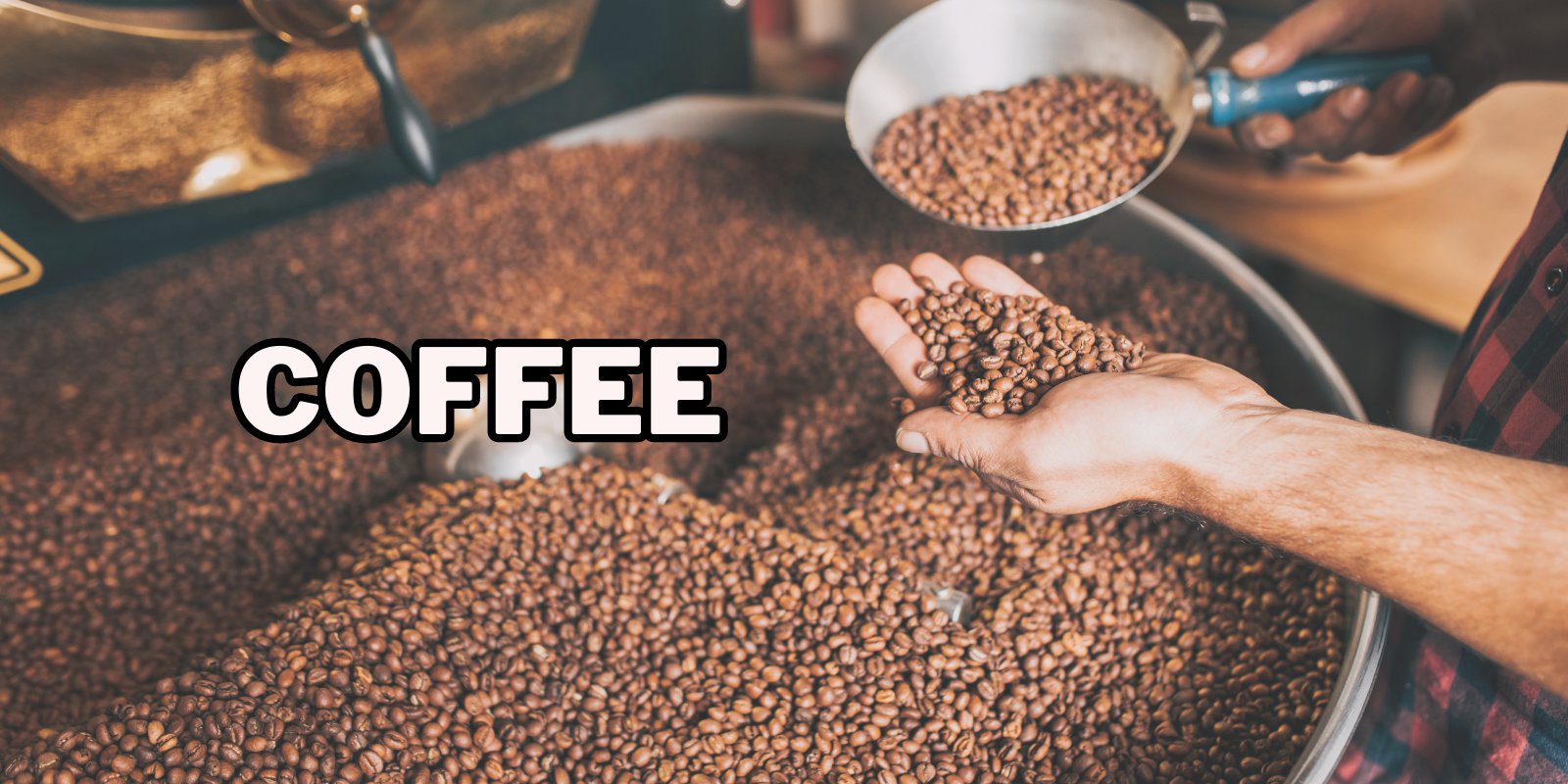 COFFEE – Sumatran Coffee